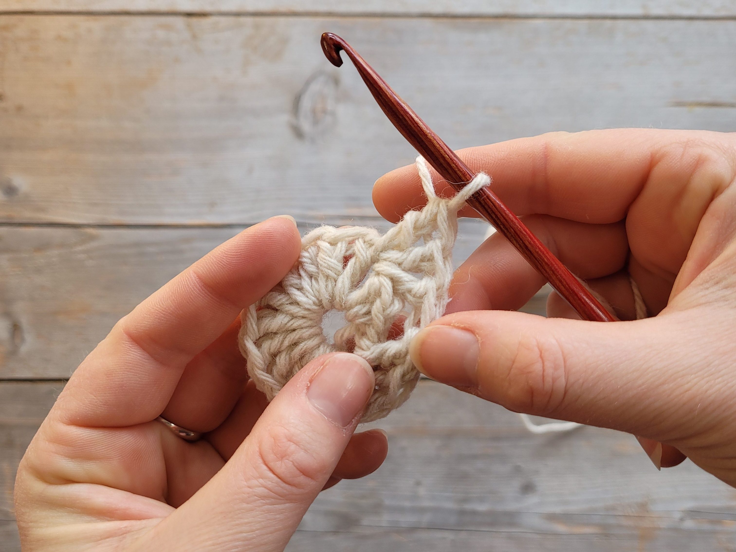 20240317_111905 – Aoibhe Ni