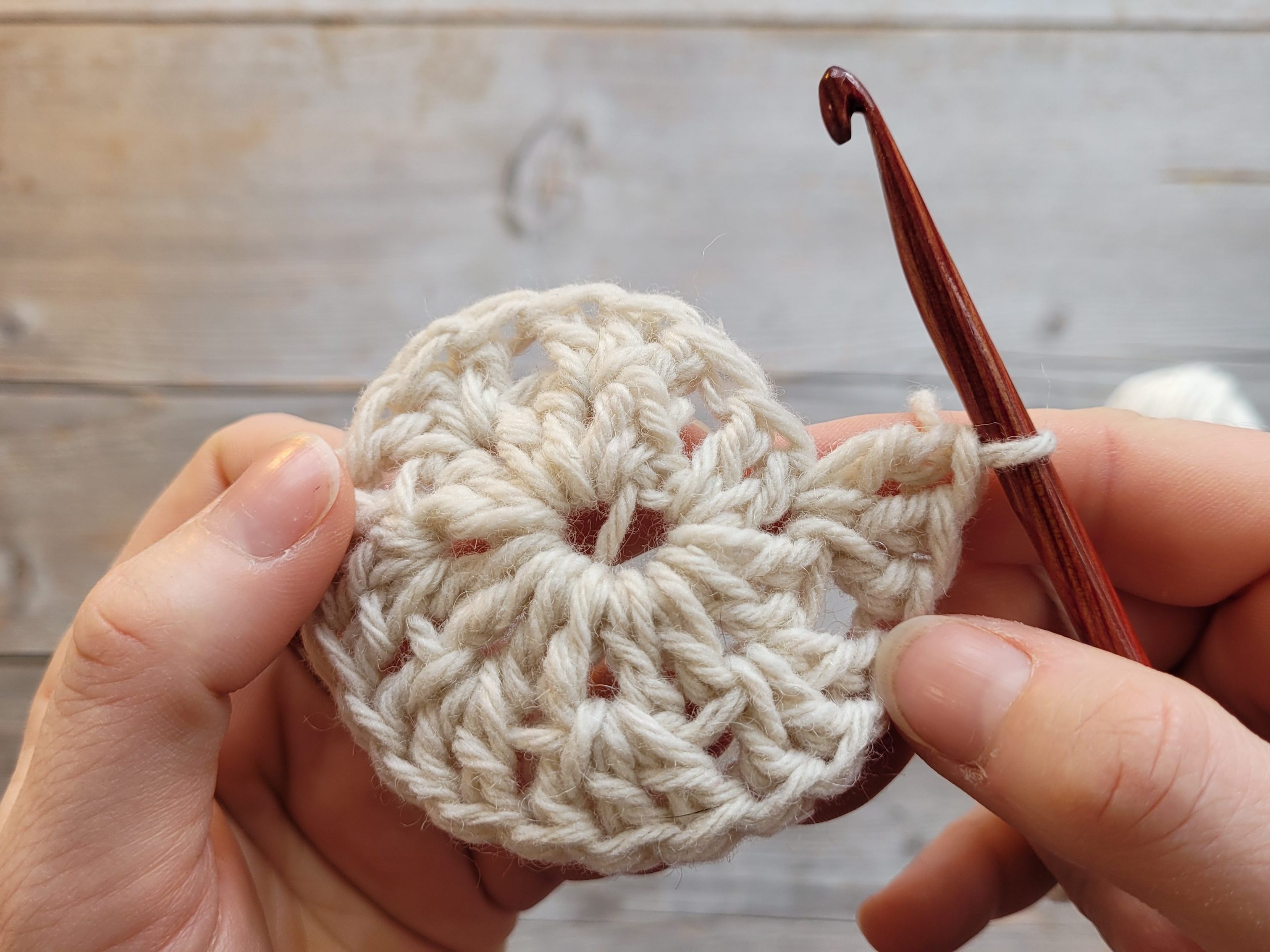 20240317_112111 – Aoibhe Ni